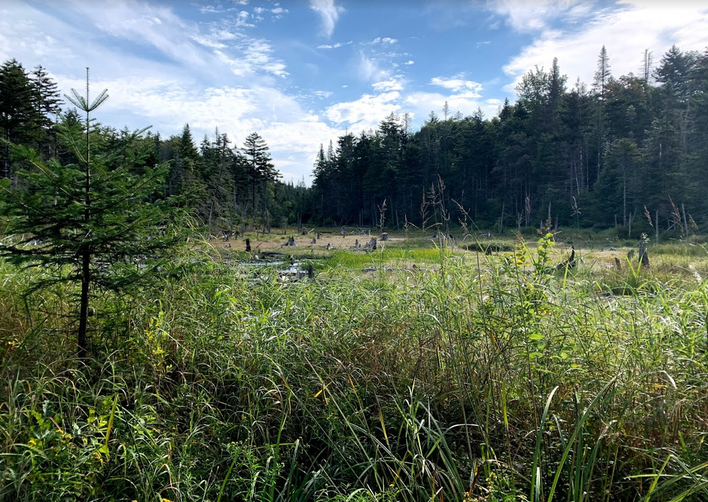 French Louie Loop Trip Report